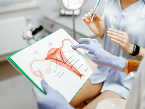 A HyCoSy is used to investigate female infertility